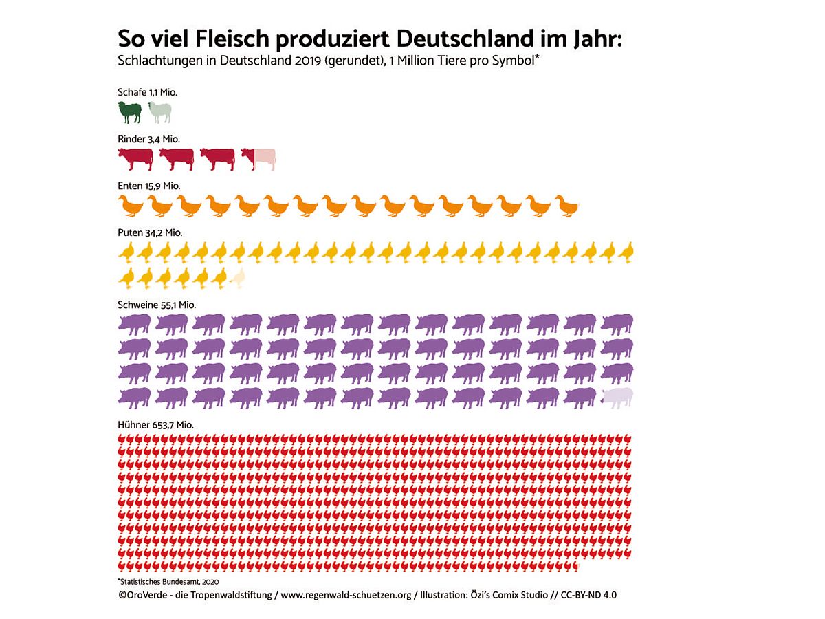 Fleisch und Soja: Wie Tierprodukt und Tropenwald zusammenhängen