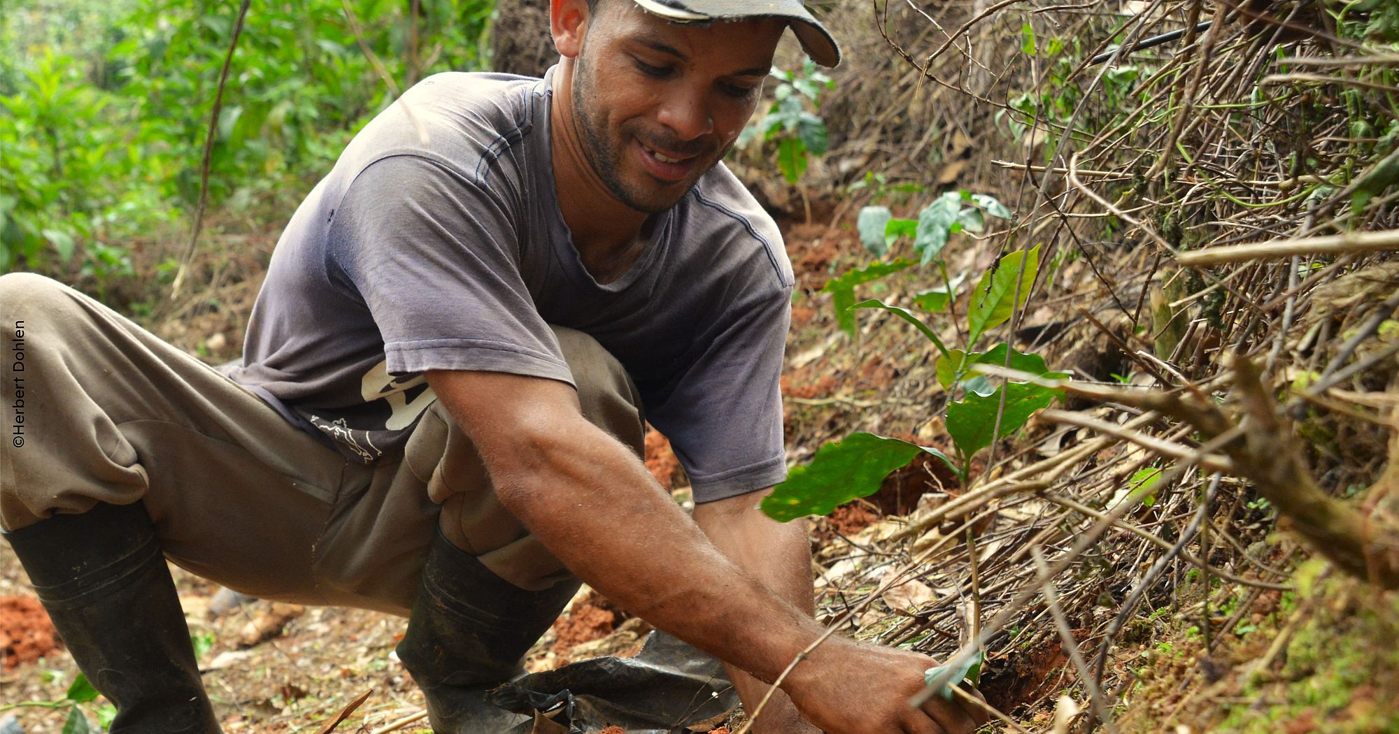 COP29: Adaptation Gap Report 2024