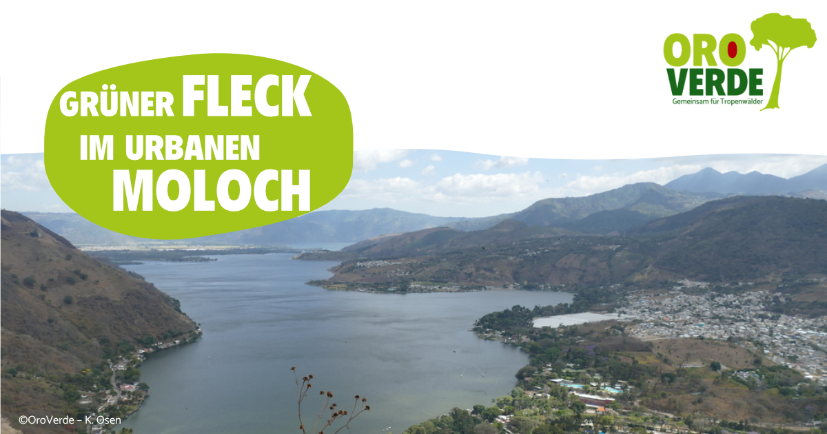 Der malerische Amatitlán-See: „Die Kloake von Millionen“
